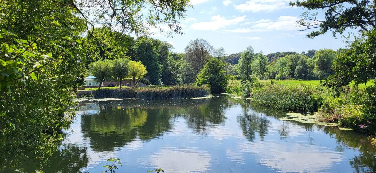 Discover the Dedham Circular Walk: Scenic Views Await